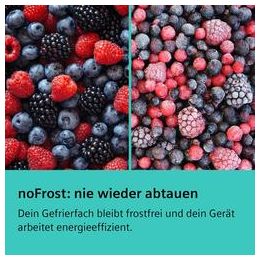 Siemens Einbauk&uuml;hlgefrierkombination "KI96NVFD0", Energieeffizienz: D (A-G), silber, Rechtsanschlag, wechselbar, K&uuml;hlschr&auml;nke, No Frost: nie wieder Abtauen