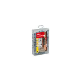 Fischer Meister-Box Wohnraum + Schrauben (160 Teile) (513777)