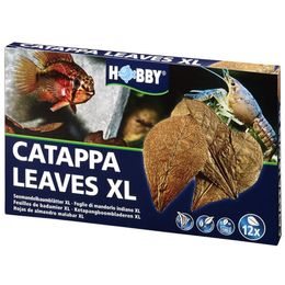 Hobby Catappa Leaves XL 12 St&uuml;ck