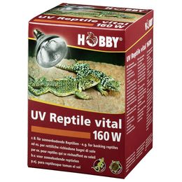 Hobby Terraristik UV-Reptile vital 160W Leuchtmittel