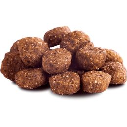 The Goodstuff Adult Rind Hunde-Trockenfutter getreidefrei 2,5kg