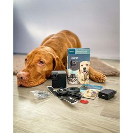 PetTec Haustierkamera Cam 360&deg;