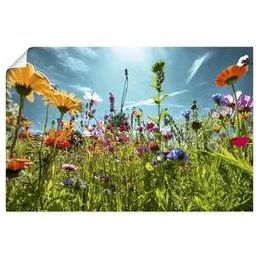 Wandbild Artland "Buntes Blumenfeld", bunt (farbe bild(er): bunt), B:30cm H:20cm, Bilder, als Alubild, Leinwandbild, Poster in verschied. Gr&ouml;&szlig;en