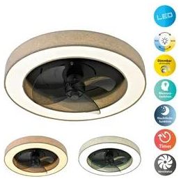 OTTO HOME LED Deckenleuchte "Deckenventilator Vittor", beige, 1, &Oslash; 51cm H: 14,7cm, 1 Stk., Leuchten, inkl. Ventilator, dimmbar, CCT, Memory, Nachtlicht, Timer, IR-Fernbed., LED Deckenleuchte