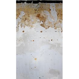 Fototapete marburg, grau, B:1,59m L:2,7m, Vlies, Tapeten, moderne Tapete f&uuml;r Wohnzimmer Schlafzimmer K&uuml;che