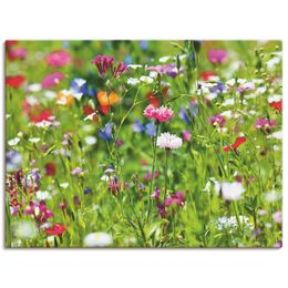 Wandbild Artland "Blumenwiese I", gr&uuml;n (farbe bild(er): gr&uuml;n), B:120cm H:90cm, Bilder, als Leinwandbild, Poster in verschied. Gr&ouml;&szlig;en