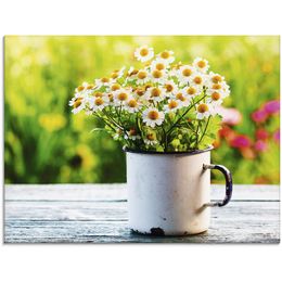 Glasbild Artland "Fr&uuml;hlingsgarten mit Echter Kamille", gr&uuml;n (farbe bild(er): gr&uuml;n), B:80cm H:60cm, Bilder, in verschiedenen Gr&ouml;&szlig;en