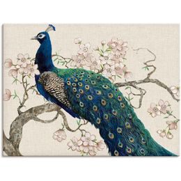 Wandbild Artland "Pfau & Bl&uuml;ten II", beige (farbe bild(er): naturfarben), B:120cm H:90cm, Bilder, als Leinwandbild, Poster in verschied. Gr&ouml;&szlig;en
