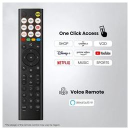 HISENSE Mini-LED-Fernseher "55E8S", Energieeffizienz: E (A-G), schwarz, dunkelgrau, 55 &prime;&prime;, Fernseher
