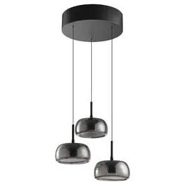LUMICOUTURE LED Pendelleuchte "Phantom", schwarz, rauchglas, 3, 1 Stk., Leuchten, H. 150 cm, 2700 K, schwebende Optik, Rauchglas, schwarz, LED Pendelleuchte