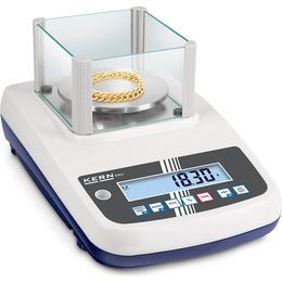 Kern Pr&auml;zisionswaage, mit Justierautomatik, eichf&auml;hig, W&auml;gebereich bis 6 kg, Ablesbarkeit 0,1 g, W&auml;geplatte 155 x 145 mm