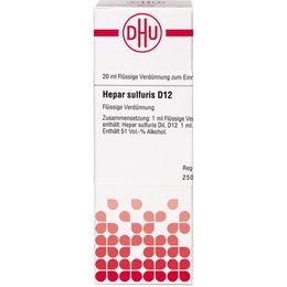 DHU-Arzneimittel Hepar Sulfuris D 12 Dilution 20 ml