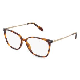 Polaroid PLD D616 Brille Damen | Fassung: Vollrand, Quadratisch, Havanna