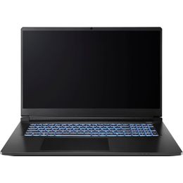 Captiva Gaming-Notebook "Entry Gaming I10-1123GE", schwarz, 32 GB RAM 2.000 GB SSD, Core i7, Windows11Home64-Bit, Notebooks