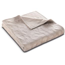 Wohndecke Biederlack "Feel Cord", grau (grau leo), B:150cm L:200cm, Baumwolle, Polyacryl, Polyester, Wohndecken, Wohndecke, mit sch&ouml;ner Hoch-Tief-Struktur