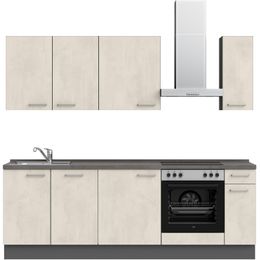 K&uuml;chenzeile Nobilia "Riva I", NEU: individuell anpassbar mit gratis Profi-Beratung", wei&szlig; (k&uuml;che: wei&szlig;, korpus: schiefergrau, arbeitsplatte: beton schiefergrau nachbildung), B:240,3cm H:216,6cm T:60cm, Komplettk&uuml;chen-Sets, K&uuml;chenzeile, vormontiert, Breite 240 cm, Ausrichtung w&auml;hlbar, wahlw. mit E-Ger&auml;ten