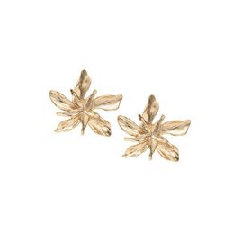 French Connection Paar Ohrstecker 'Statement Ohrringe' goldfarben Gr. f&uuml;r Damen