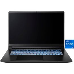 Captiva Gaming-Notebook "Entry Gaming I10-1108GE", schwarz, 16 GB RAM 1.000 GB SSD, Core i7, Windows11Home64-Bit, Notebooks