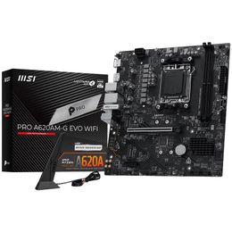 MSI Mainboard "Pro A620AM-G EVO WIFI", schwarz, B:22,6cm H:25,6cm T:24,38cm, Mainboards