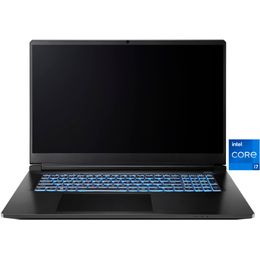 Captiva Gaming-Notebook "Entry Gaming I10-1089GE", schwarz, 16 GB RAM 500 GB SSD, Core i7, ohne Windows, Notebooks