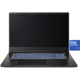 Captiva Gaming-Notebook "Entry Gaming I10-1128GE", schwarz, 64 GB RAM 2.000 GB SSD, Core i7, Microsoft Windows 11 Home (64 Bit), Notebooks