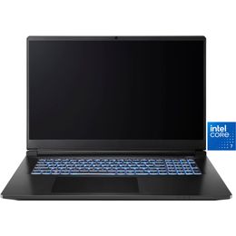 Captiva Gaming-Notebook "Entry Gaming I10-1127GE", schwarz, 64 GB RAM 2.000 GB SSD, Core i7, ohne Windows, Notebooks