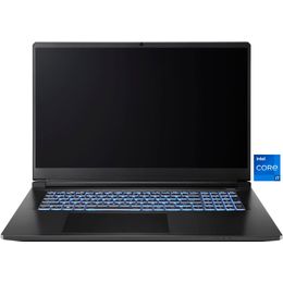 Captiva Gaming-Notebook "Entry Gaming I10-1126GE", schwarz, 32 GB RAM 2.000 GB SSD, Core i7, Windows 11 Pro 64-bit, Notebooks