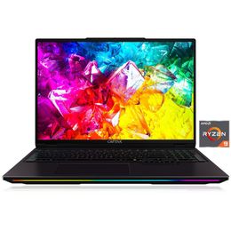 Captiva Gaming-Notebook "Ultimate Gaming R10-1272GE", schwarz, 64 GB RAM 2.000 GB SSD, Ryzen 9, ohne Windows, Notebooks