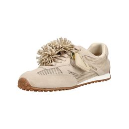 Schn&uuml;rschuh Steve Madden "Steve Madden Sneaker Textil", Damen, Gr. 37, sand, Textil, Schuhe Schn&uuml;rschuh