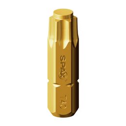 Spax Cut-Case Bit T40+ SW 1/4 x 25 (4003530239687)