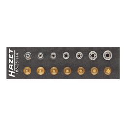 Hazet Werkzeug-Satz, TX 163-251/14 Vierkant hohl 6,3 mm (1/4 Zoll) Au&szlig;en TX Profil, Innen TX Profil E 4 - E 11 T 10 - T 40 Anzahl Werkzeuge: 14)
