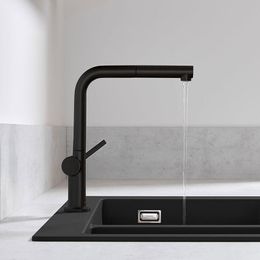 Hansgrohe Talis M54 K&uuml;chenarmatur, Niederdruck, ausziehbar, schwenkbar, 72860670,