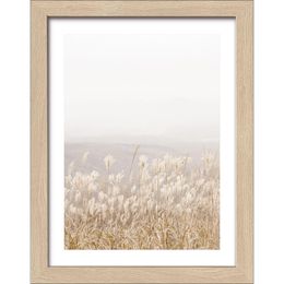 Pro Art Pro-Art Kunstdruck Framed-Art 'Dried Fiber IV' 19 x 24 cm