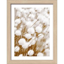 Pro Art Pro-Art Kunstdruck Framed-Art 'Dried Fiber IV' 19 x 24 cm