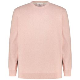 Herren Gro&szlig;e Gr&ouml;&szlig;en | s.Oliver Feinstrickpullover aus Baumwolle Farbe lila Gr&ouml;&szlig;e: 5XL