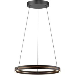 NEUHAUS PURE LED Pendelleuchte "PURE E-Loop", oak, schwarz pearl, 2, &Oslash; 70cm H: 40cm, 1 Stk., Leuchten, e-LIFT Funktion, CCT, dimmbar &uuml;ber Fernbedienung, LED Pendelleuchte
