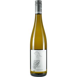 Weingut Michael Bauer Weissburgunder Wei&szlig;burgunder 2025 Trocken - Wagram &ndash; Wei&szlig;wein Qualit&auml;tswein