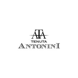 Tenuta Antonini Alessio Uno Appassimento Montepulciano 2023 - Abruzzen &ndash; Rotwein Vino Generico