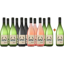 Weinhof Anton Waldsch&uuml;tz 11+1 Liter Paket 2024 Trocken - Verschiedene Regionen &ndash; Probierpaket Qualit&auml;tswein