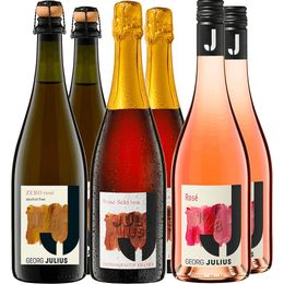 Weingut Julius Ros&eacute;-Paket - Rheinhessen &ndash; Probierpaket Diverse