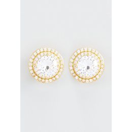 U.S. Polo Assn. US Polo Assn Jewellery Ohrringe aus Cristal-Gelbgold