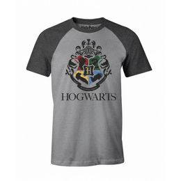Harry Potter - "Academic" T-Shirt f&uuml;r Herren (Grau meliert)