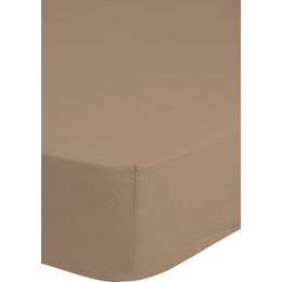 Spannbettlaken Good Morning "Jersey Spannbettlaken", beige (sand), B:90cm L:220cm, Jersey, Obermaterial: 100% Baumwolle, Bettlaken, Spannbettlaken, 100% Baumwolle, Jersey, Rundumgummi, bis 25 cm h&ouml;he, 90/100x200, Wei&szlig;