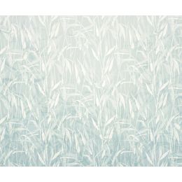 Vliestapete Komar "Digitaldruck Vlies - Reed - Gr&ouml;&szlig;e 300 x 250 cm", blau (t&uuml;rkis, wei&szlig;), B:300m L:250m, Vlies, Tapeten, Wohnzimmer, Schlafzimmer