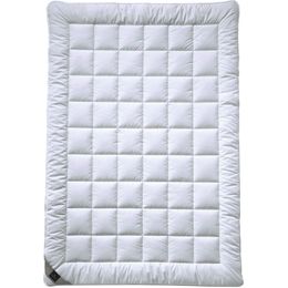 Kunstfaserbettdecke Billerbeck "520 ALCANDO, Bettdecken f&uuml;r Sommer und Winter, Decke", wei&szlig;, B:155cm L:220cm, Bezug: 100% Baumwolle. F&uuml;llung: 100% Polyester, Bettdecken, Die strapazierf&auml;hige und kuschelige Faserdecke