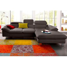 Ecksofa COTTA "Driver L-Form", braun, B:268cm H:73cm T:169cm, LEDER BEEFY (ein abgedecktes Spalt-Rindsleder) im Sitz und R&uuml;cken (Korpus in Kunstleder);Luxus-Kunstleder;Kunstleder SOFTLUX;Leder Pampas (echtes Rindsleder), R&uuml;ckseite mit schwarzem Spannstoff bezogen, Sofas, Ecksofa, mit Kopfteilverstellung, wahlweise mit Bettfunktion & Bettkasten