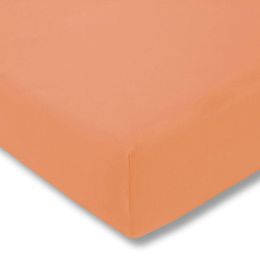 Spannbettlaken Estella "Jersey-Stretch-Spannbetttuch", rot (apricot), B:200cm, Jersey-Elasthan, Obermaterial: 97% Baumwolle, 3% Elasthan, Bettlaken, Spannbettlaken, Der Ma&szlig;anzug f&uuml;r die Matratze