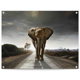 Poster Reinders "Elefantenk&ouml;nig", braun (farbe bild(er): braun), B:80cm H:60cm T:0,1cm, Leinwand, Bilder, Poster, Outdoor f&uuml;r Garten oder Balkon