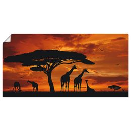 Wandbild Artland "Herde von Giraffen im Sonnenuntergang", braun (farbe bild(er): braun), B:60cm H:30cm, Bilder, als Leinwandbild, Poster in verschied. Gr&ouml;&szlig;en
