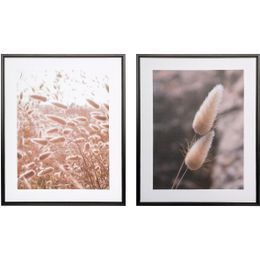 Bild mit Rahmen CREATIV HOME "Schilf", beige (farbe rahmen: schwarz, farbe bild(er): natur), B:40cm H:50cm T:2,5cm, Papier, Bilder, auf Canvas-Leinwand